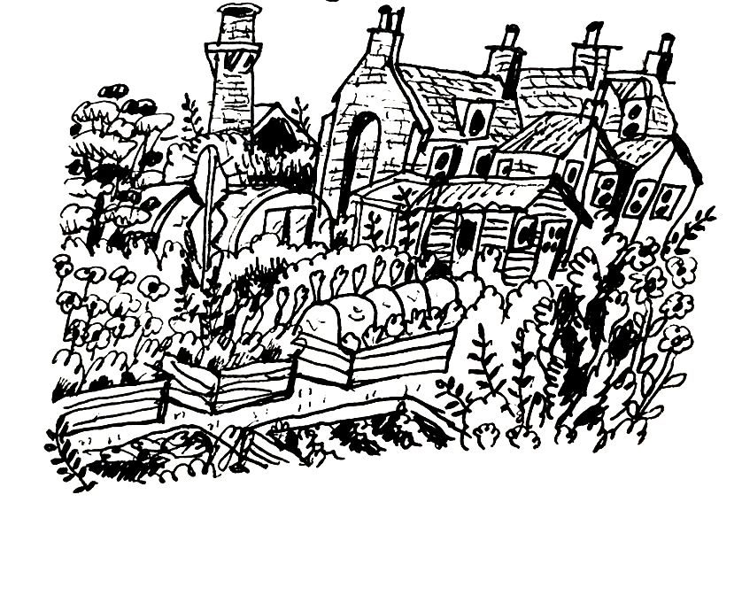 Donate to Glengall Wharf Garden – Glengall Wharf Garden